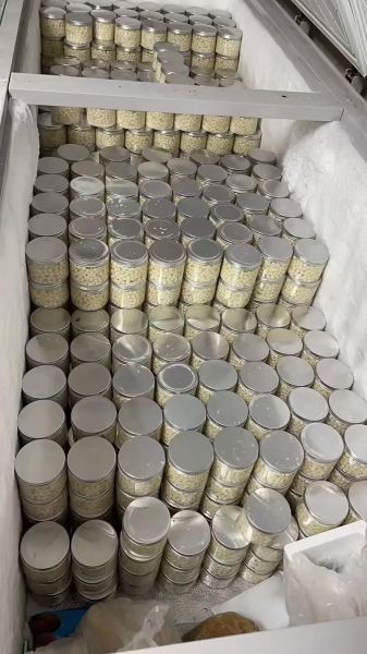 苏州鸡头米多少钱一斤_正宗鸡头米价格行情-第2张图片-山城妙识