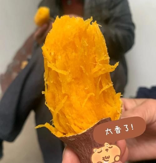 电烤箱烤红薯温度和时间_电烤箱烤红薯怎么烤才出油-第1张图片-山城妙识