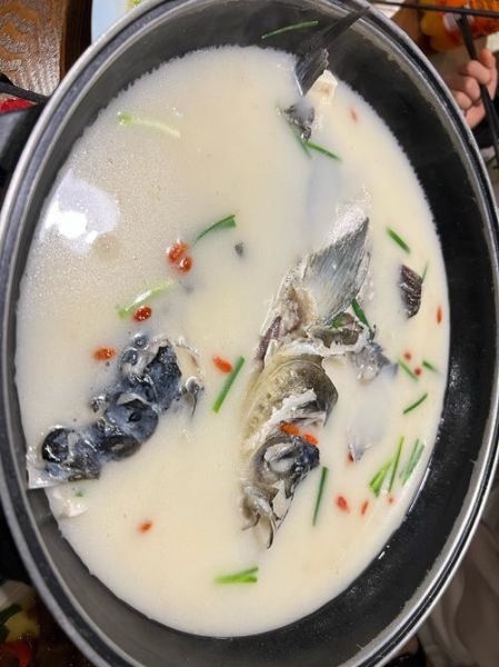 清炖鲢鱼头汤怎么做_鲢鱼头汤去腥技巧-第1张图片-山城妙识 清炖鲢鱼头汤怎么做_鲢鱼头汤去腥技巧-第1张图片-山城妙识