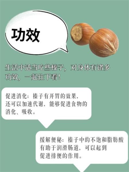 榛子是什么_榛子的营养价值有哪些-第3张图片-山城妙识