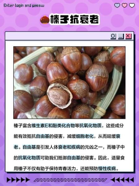 榛子是什么_榛子的营养价值有哪些-第2张图片-山城妙识