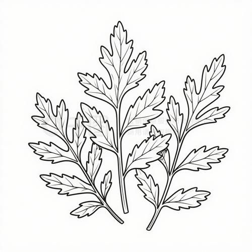 艾草简笔画怎么画_艾草简笔画步骤图-第3张图片-山城妙识