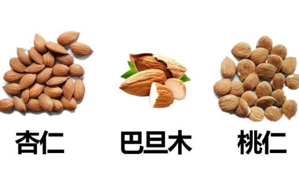美国大杏仁是什么_和巴旦木区别-第1张图片-山城妙识