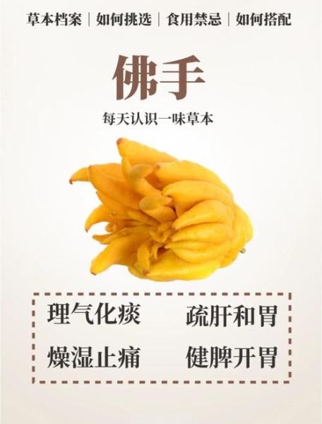 佛手有什么功效与作用_佛手主治哪些疾病-第1张图片-山城妙识 佛手有什么功效与作用_佛手主治哪些疾病-第1张图片-山城妙识