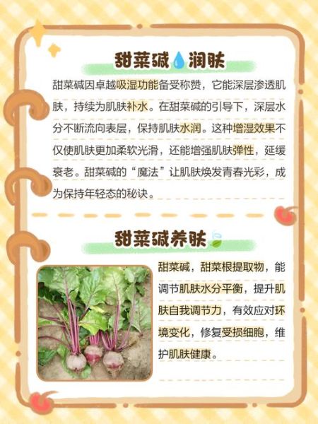 甜菜碱水杨酸盐是什么_甜菜碱水杨酸盐对皮肤的作用-第1张图片-山城妙识