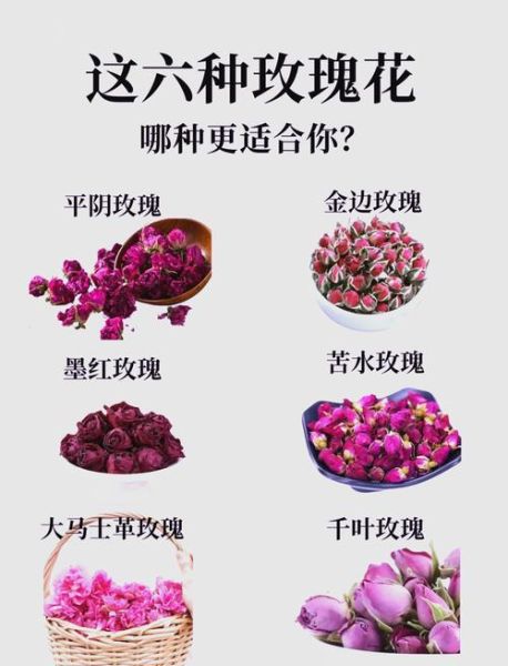 玫瑰茶的功效与作用_玫瑰茶可以天天喝吗-第1张图片-山城妙识