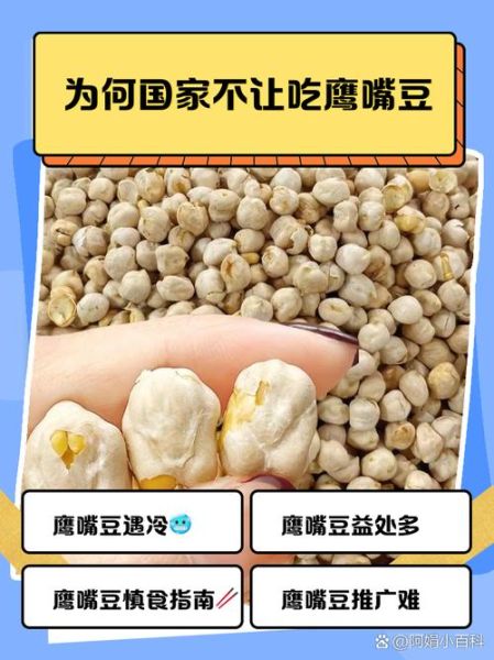 鹰嘴豆减肥骗局是真的吗_如何科学吃鹰嘴豆-第3张图片-山城妙识