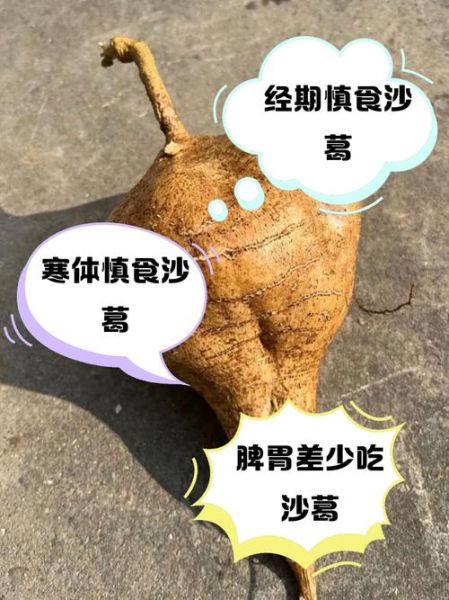 沙葛的功效与作用_沙葛的禁忌有哪些-第1张图片-山城妙识 沙葛的功效与作用_沙葛的禁忌有哪些-第1张图片-山城妙识