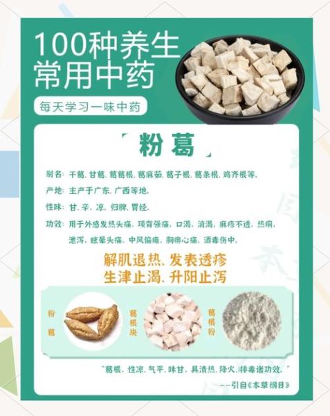 沙葛的功效与作用_沙葛的禁忌有哪些-第3张图片-山城妙识 沙葛的功效与作用_沙葛的禁忌有哪些-第3张图片-山城妙识