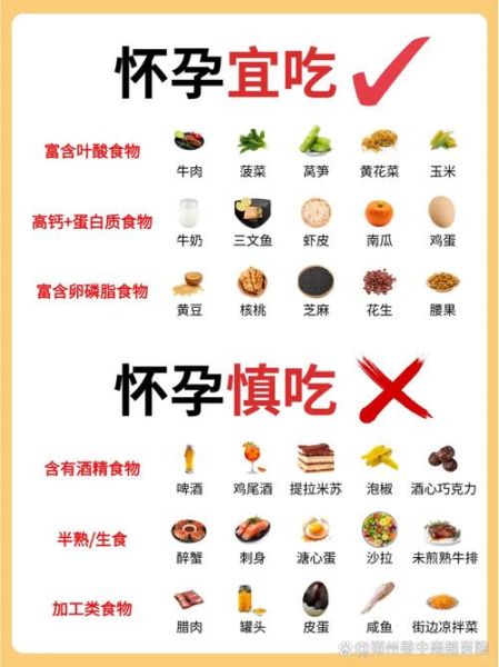孕妇每天饮食吃什么_孕期饮食注意事项-第1张图片-山城妙识 孕妇每天饮食吃什么_孕期饮食注意事项-第1张图片-山城妙识