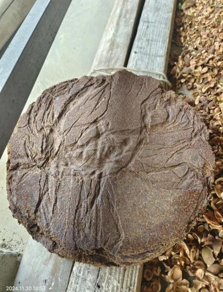 油茶籽油多少钱一斤_正宗茶油价格行情-第1张图片-山城妙识