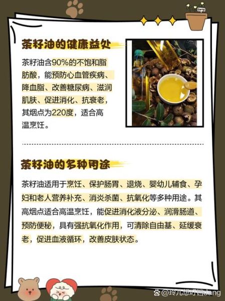 油茶籽油多少钱一斤_正宗茶油价格行情-第3张图片-山城妙识