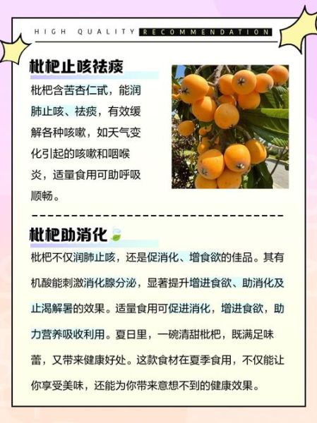 枇杷果的功效与禁忌_枇杷果哪些人不能吃-第1张图片-山城妙识 枇杷果的功效与禁忌_枇杷果哪些人不能吃-第1张图片-山城妙识