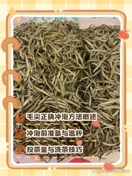 毛尖怎么泡才正确_毛尖泡多久口感最佳-第1张图片-山城妙识