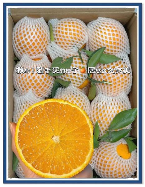 重庆有哪些特产水果_重庆水果几月份成熟-第2张图片-山城妙识 重庆有哪些特产水果_重庆水果几月份成熟-第2张图片-山城妙识