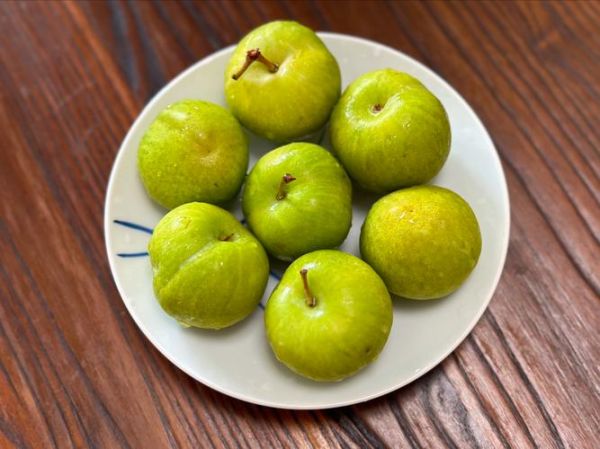 重庆有哪些特产水果_重庆水果几月份成熟-第1张图片-山城妙识 重庆有哪些特产水果_重庆水果几月份成熟-第1张图片-山城妙识