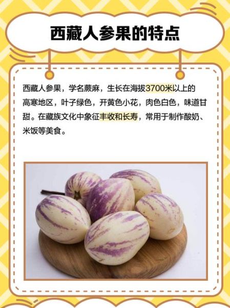 人参果的功效与作用有哪些_孕妇能吃吗-第3张图片-山城妙识 人参果的功效与作用有哪些_孕妇能吃吗-第3张图片-山城妙识