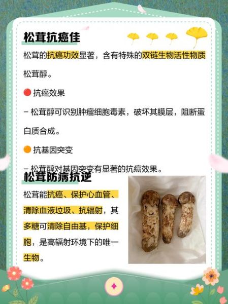 野生松茸的功效与作用_怎么吃最营养-第2张图片-山城妙识
