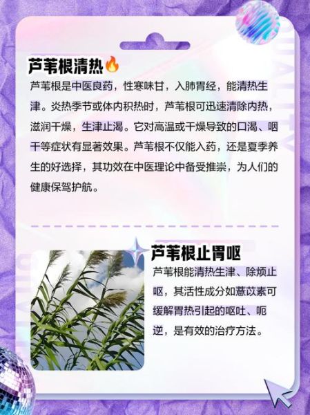 芦苇根的功效与作用禁忌_芦苇根泡水喝的副作用-第1张图片-山城妙识