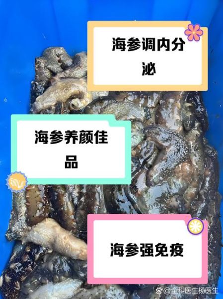 女人吃海参的最大好处_海参对女人有哪些功效-第2张图片-山城妙识 女人吃海参的最大好处_海参对女人有哪些功效-第2张图片-山城妙识