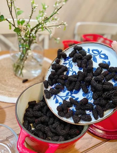 桑椹酱怎么做_桑椹酱的做法和步骤-第3张图片-山城妙识 桑椹酱怎么做_桑椹酱的做法和步骤-第3张图片-山城妙识