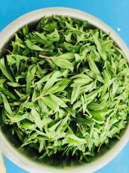 蚂蚱菜怎么吃_蚂蚱菜有哪些家常做法-第1张图片-山城妙识