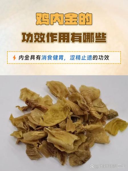 鸡内金的功效与作用_鸡内金能治哪些病-第3张图片-山城妙识 鸡内金的功效与作用_鸡内金能治哪些病-第3张图片-山城妙识
