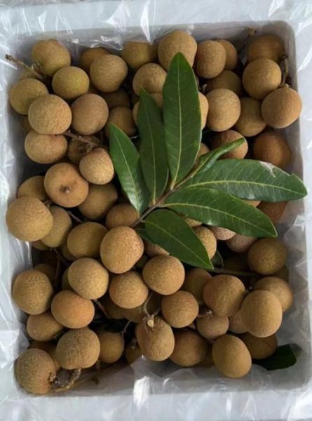 新鲜桂圆上火吗_吃多少颗合适-第1张图片-山城妙识