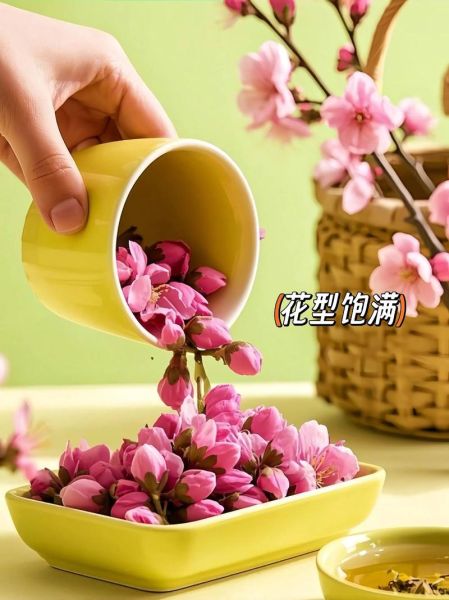 冬瓜子桃花能减肥吗_冬瓜子桃花茶的功效与作用-第2张图片-山城妙识