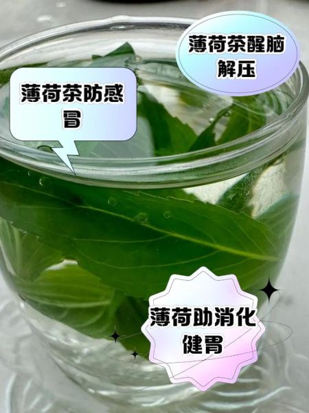 薄荷叶泡水喝能减肥吗_薄荷叶泡水减肥真相-第3张图片-山城妙识