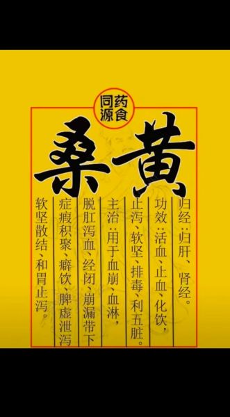 藏桑黄的功效与作用_藏桑黄怎么吃效果最好-第2张图片-山城妙识 藏桑黄的功效与作用_藏桑黄怎么吃效果最好-第2张图片-山城妙识