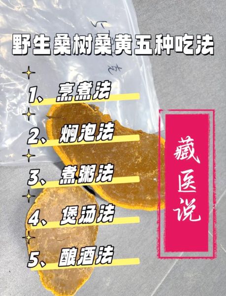 藏桑黄的功效与作用_藏桑黄怎么吃效果最好-第3张图片-山城妙识 藏桑黄的功效与作用_藏桑黄怎么吃效果最好-第3张图片-山城妙识