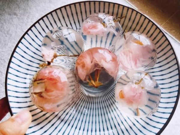 水信玄饼高清图片哪里找_水信玄饼高清做法教程-第2张图片-山城妙识