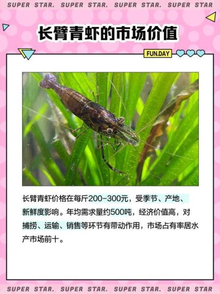 长臂虾怎么养_长臂虾吃什么-第3张图片-山城妙识 长臂虾怎么养_长臂虾吃什么-第3张图片-山城妙识