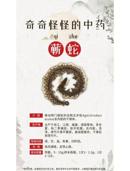 蕲蛇的功效与作用_蕲蛇能治什么病-第3张图片-山城妙识 蕲蛇的功效与作用_蕲蛇能治什么病-第3张图片-山城妙识