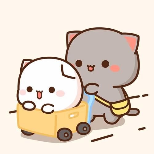 蜜桃猫是什么品种_蜜桃猫多少钱一只-第3张图片-山城妙识 蜜桃猫是什么品种_蜜桃猫多少钱一只-第3张图片-山城妙识