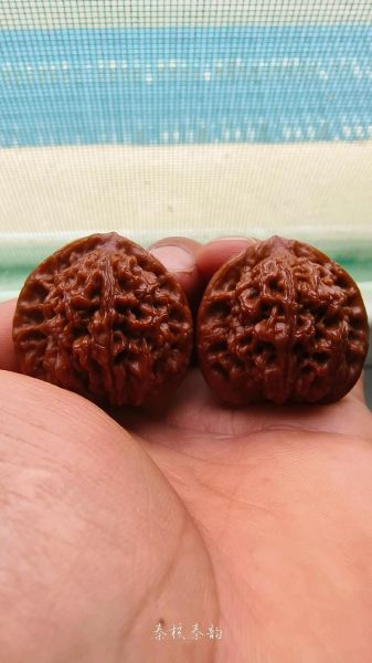 野生山核桃怎么盘_野生山核桃真假鉴别-第3张图片-山城妙识 野生山核桃怎么盘_野生山核桃真假鉴别-第3张图片-山城妙识