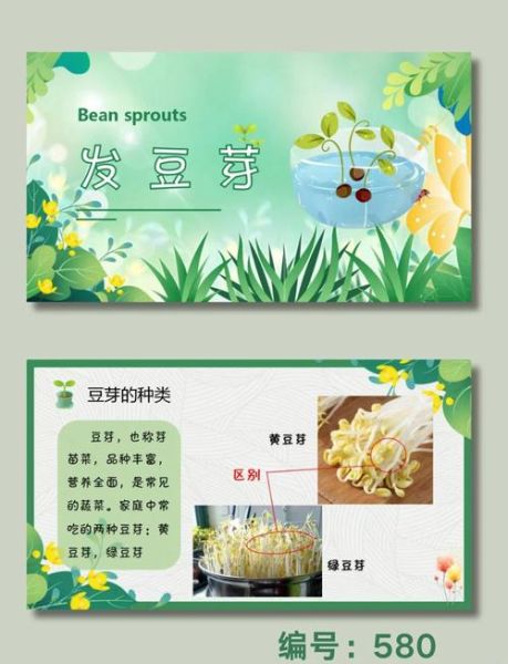 绿豆芽怎么种植_绿豆芽种植方法步骤-第2张图片-山城妙识