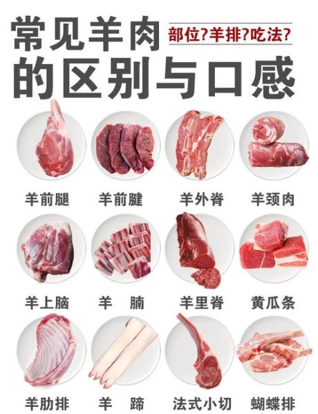 羊肉和猪肉能一起吃吗_一起吃会不会上火-第1张图片-山城妙识 羊肉和猪肉能一起吃吗_一起吃会不会上火-第1张图片-山城妙识