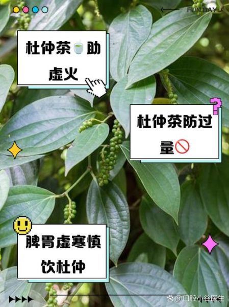 杜仲茶副作用有哪些_杜仲茶什么人不能喝-第1张图片-山城妙识 杜仲茶副作用有哪些_杜仲茶什么人不能喝-第1张图片-山城妙识