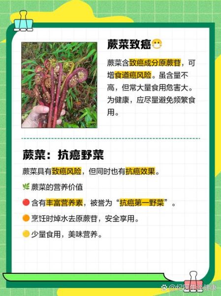 蕨菜致癌还是抗癌_蕨菜到底能不能吃-第3张图片-山城妙识 蕨菜致癌还是抗癌_蕨菜到底能不能吃-第3张图片-山城妙识