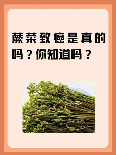 蕨菜致癌还是抗癌_蕨菜到底能不能吃-第1张图片-山城妙识 蕨菜致癌还是抗癌_蕨菜到底能不能吃-第1张图片-山城妙识