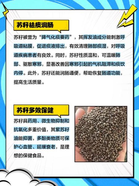 苏子能长期吃吗_苏子的功效与作用-第3张图片-山城妙识