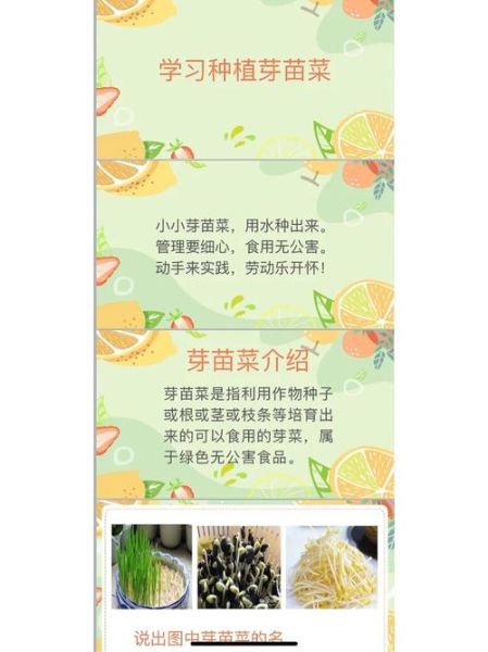芽苗菜怎么种_芽苗菜种植方法-第1张图片-山城妙识