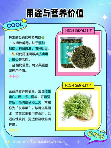 苣荬怎么读_苣荬菜和蒲公英区别-第1张图片-山城妙识
