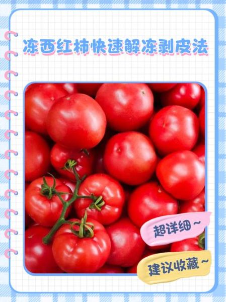 自制番茄酱冷冻保存多久_冷冻后怎么解冻-第1张图片-山城妙识