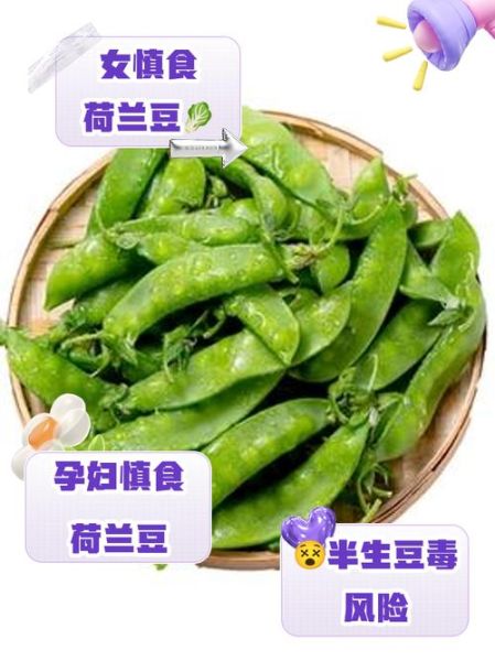 荷兰豆不熟能吃吗_荷兰豆生吃会中毒吗-第3张图片-山城妙识