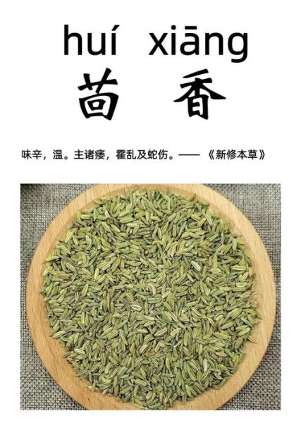 小茴香什么人不能吃_小茴香的副作用有哪些-第2张图片-山城妙识