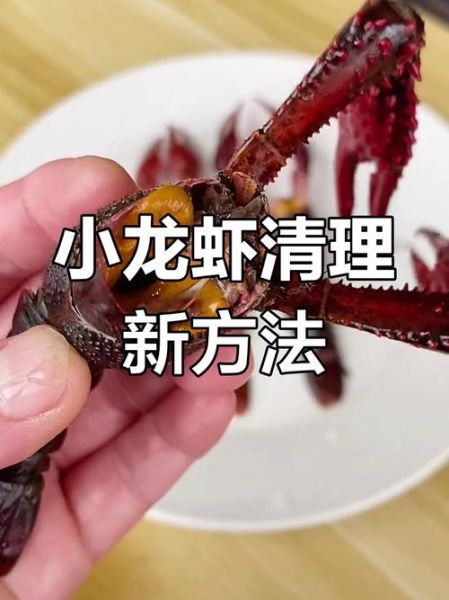 龙虾怎么洗最干净_最快的方法-第2张图片-山城妙识 龙虾怎么洗最干净_最快的方法-第2张图片-山城妙识
