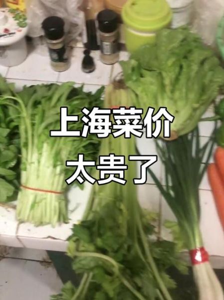 上海菜价为什么上涨_上海蔬菜价格最新行情-第1张图片-山城妙识 上海菜价为什么上涨_上海蔬菜价格最新行情-第1张图片-山城妙识